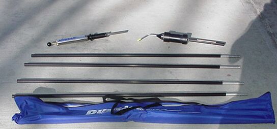 springtail control and treatments for the home yard and garden