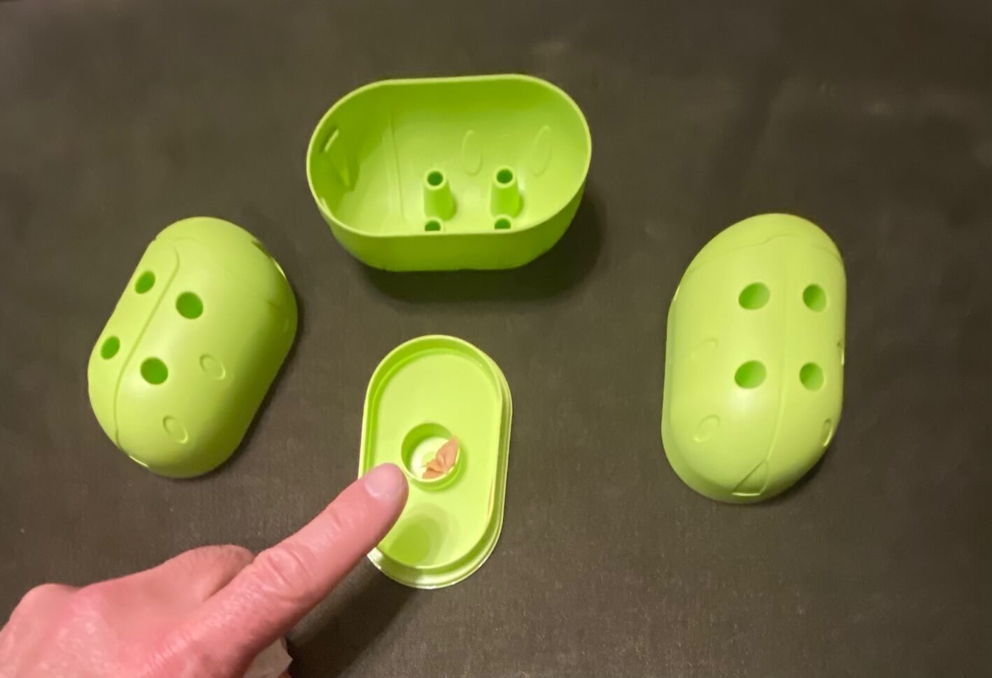 earwig control and treatments for the home yard and garden