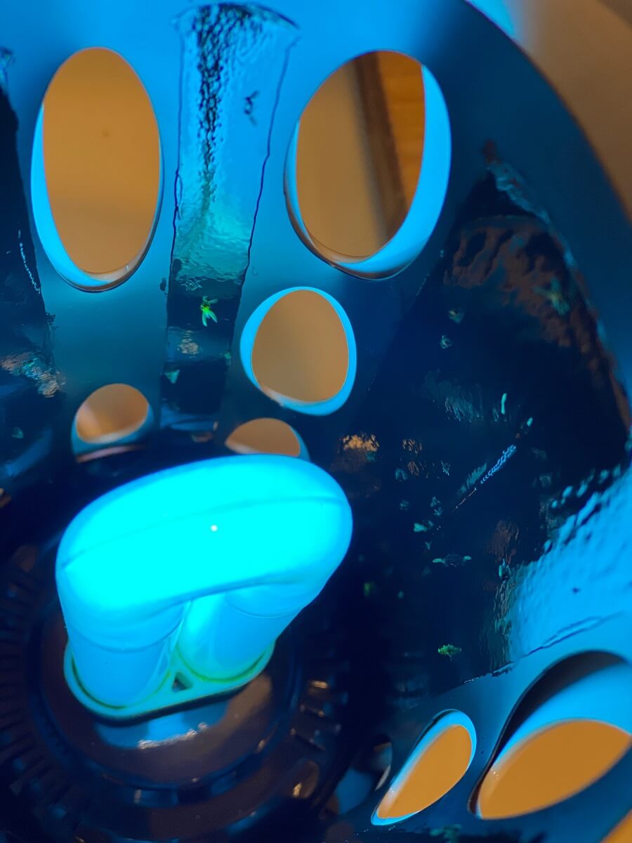 SPARROW HAWK ELECTRIC FLYING INSECT TRAP | BUGSPRAY.COM