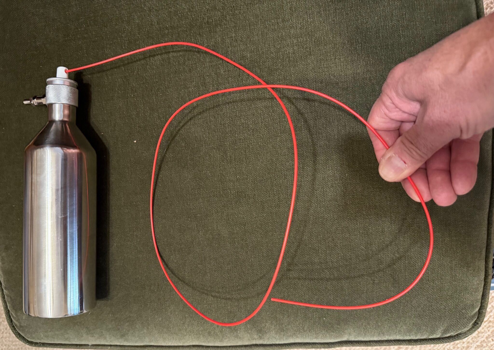 springtail control and treatments for the home yard and garden