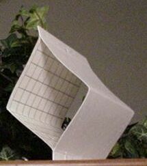 LADYBUG PHEROMONE TRAP | BUGSPRAY.COM