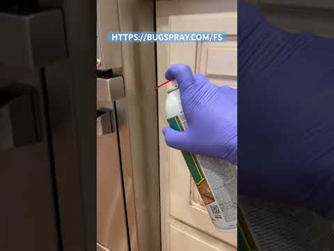 chigger control and treatments for the yard home and garden