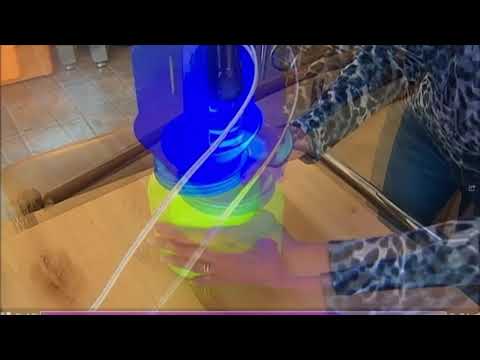 ladybug control and treatments for the home yard and garden