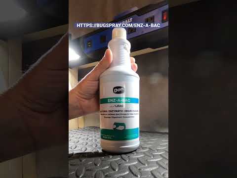 springtail control and treatments for the home yard and garden