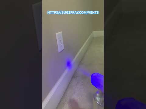 springtail control and treatments for the home yard and garden