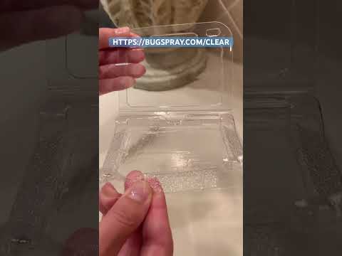 springtail control and treatments for the home yard and garden