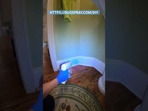 springtail control and treatments for the home yard and garden