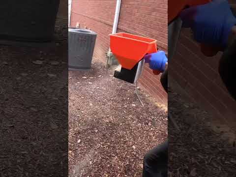 booklice control and treatments for the home and living areas