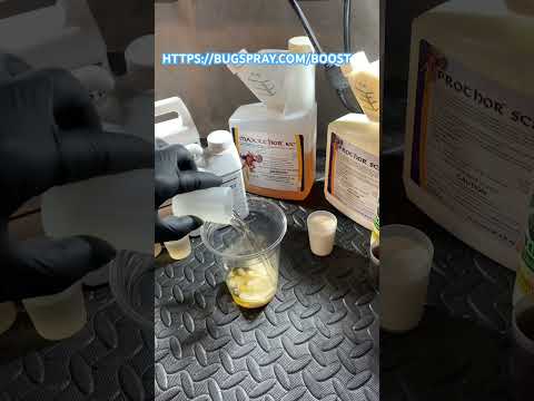 springtail control and treatments for the home yard and garden