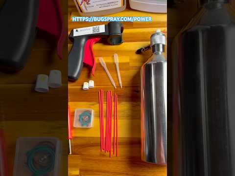 springtail control and treatments for the home yard and garden