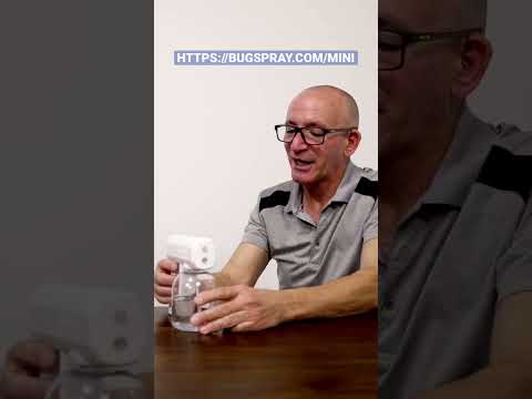 springtail control and treatments for the home yard and garden