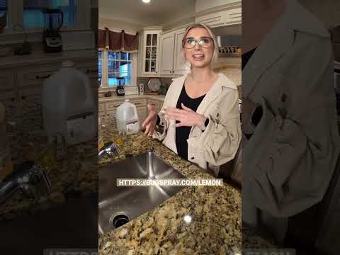 springtail control and treatments for the home yard and garden