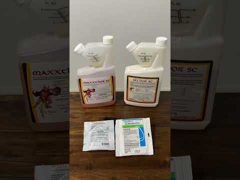 WHAT'S THE DIFFERENCE BETWEEN AN EC AND AN SC? | BUGSPRAY.COM