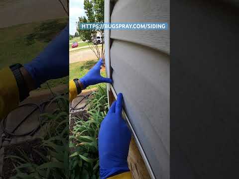 springtail control and treatments for the home yard and garden