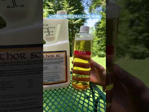 springtail control and treatments for the home yard and garden