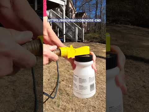 springtail control and treatments for the home yard and garden