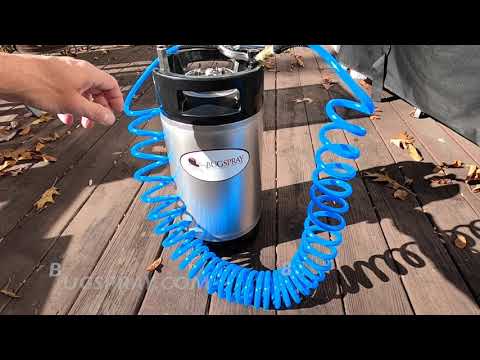 apple maggot control and treatments for trees and in the garden