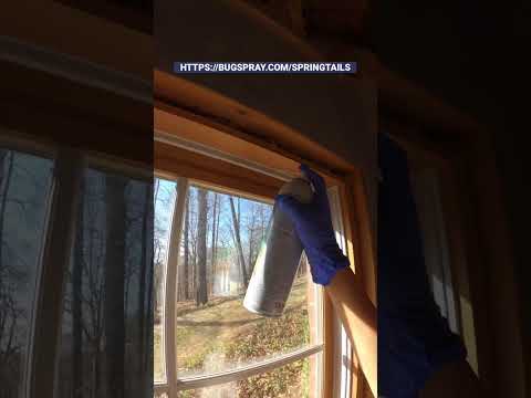 springtail control and treatments for the home yard and garden